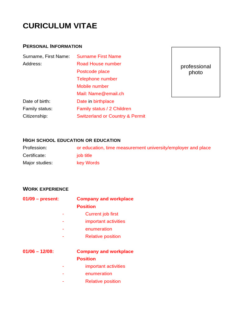 CV Template | PDF