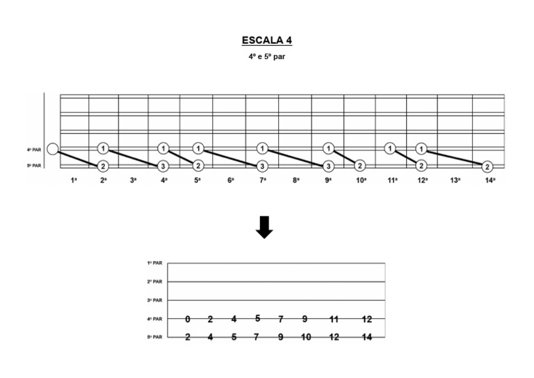 Aula 19 Escala 4 4o e 5opar | PDF
