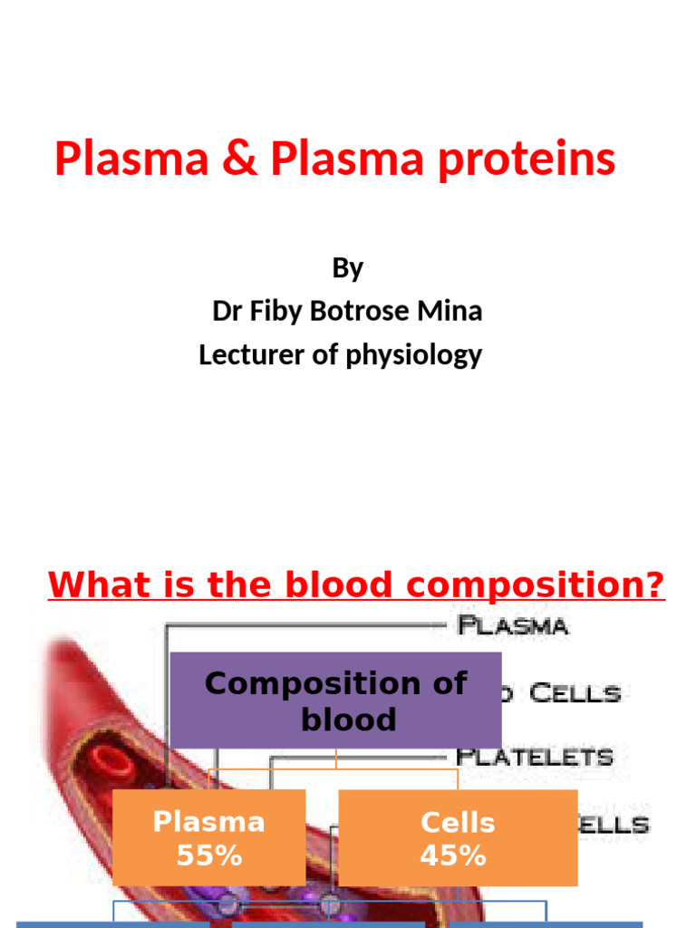 Blood Plasma: Composition & Functions | PDF | Blood Plasma | Blood