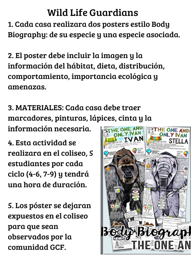 Body Biography | PDF