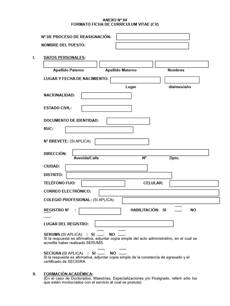 Anexo 04 | PDF