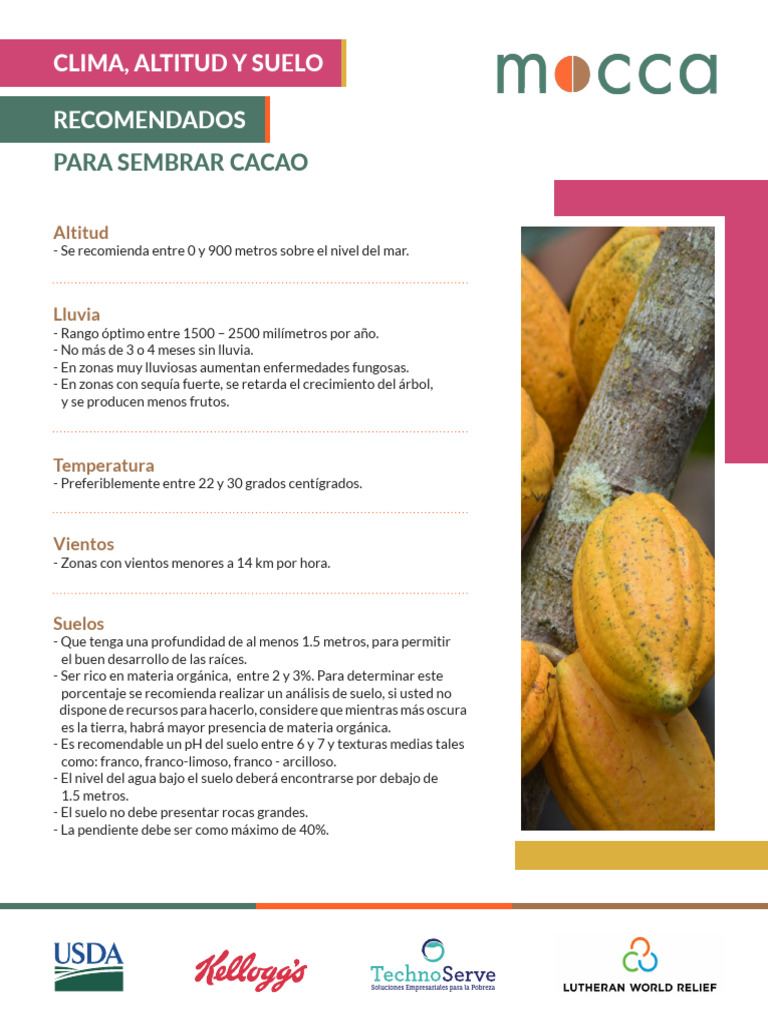 Guia Clima Altitud y Suelo para Sembrar Cacao | PDF | Tecnología