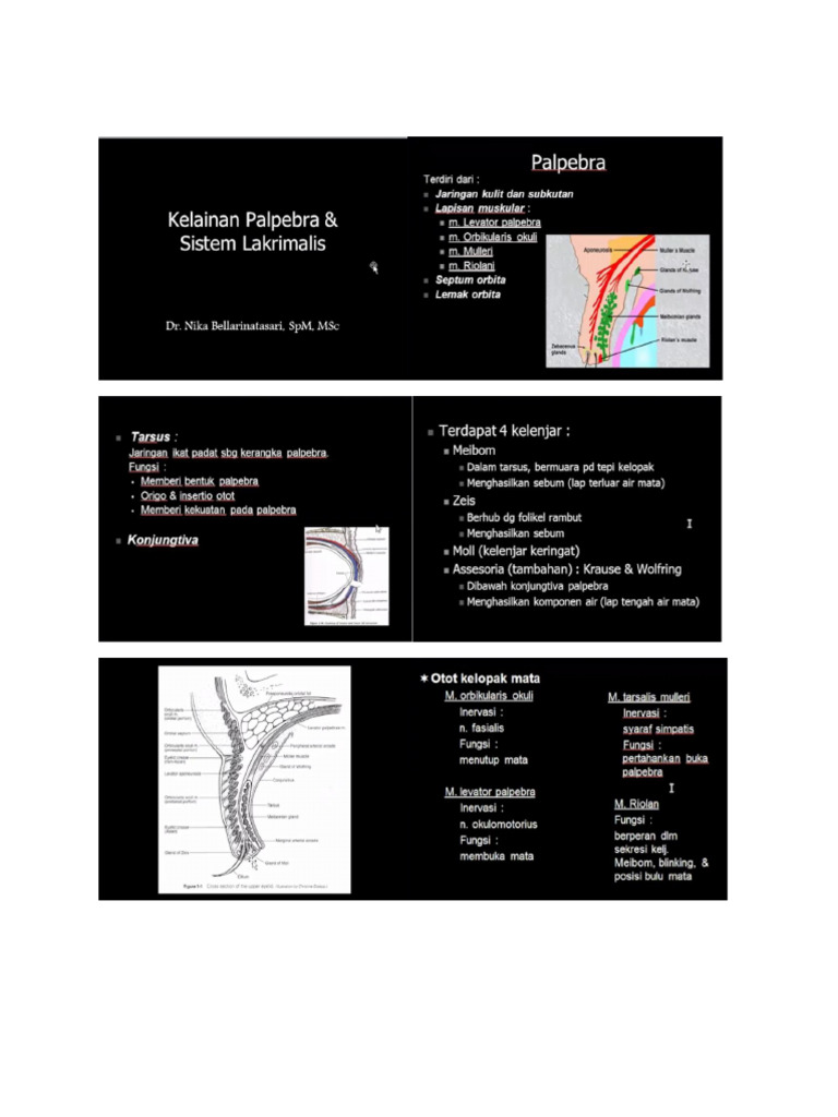 LBM 1 - Penyakit Permukaan Mata 1 (Kelainan Palpebra Dan Sistem Lakrimalis) | PDF