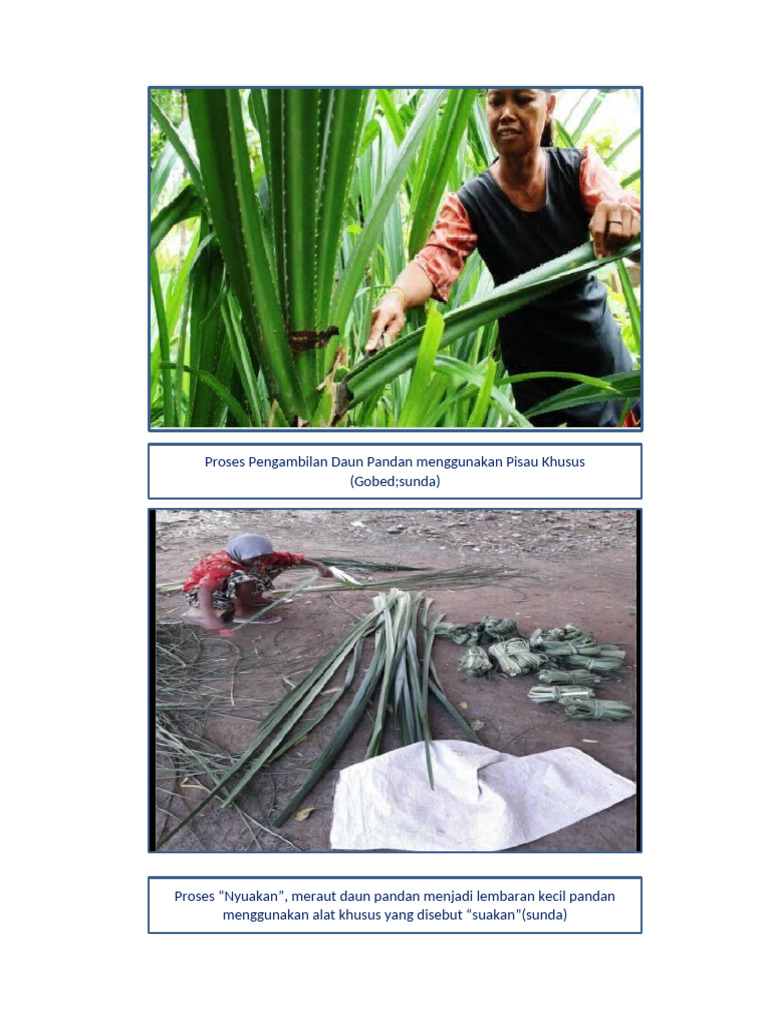 Anyaman Tikar Proses | PDF