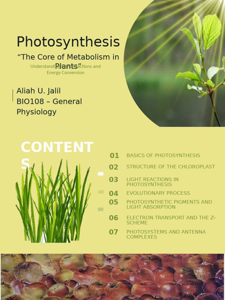 Photosynthesis | PDF | Photosynthesis | Chloroplast