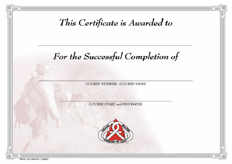 s190 Fire Cert | PDF