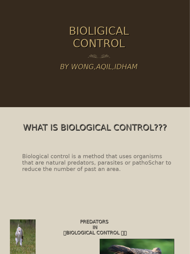 Sains | PDF | Self-Improvement | Wellness