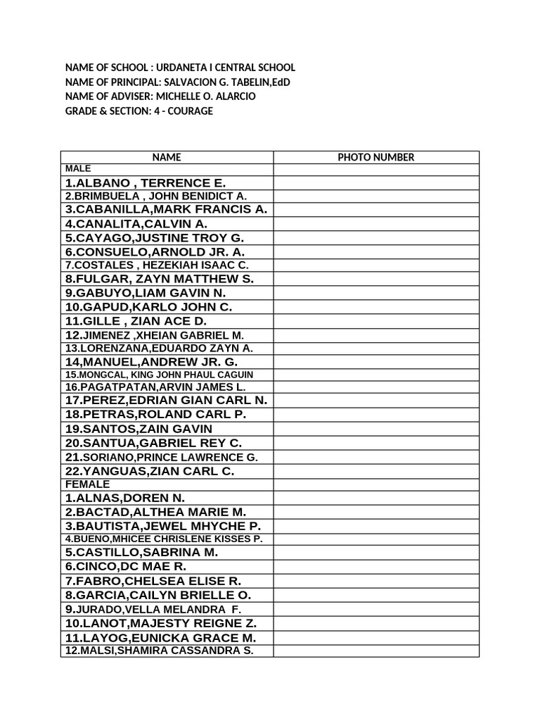 Pictorial Form | PDF