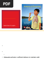 IPPA Nursing Process | PDF | Physical Examination | Heart