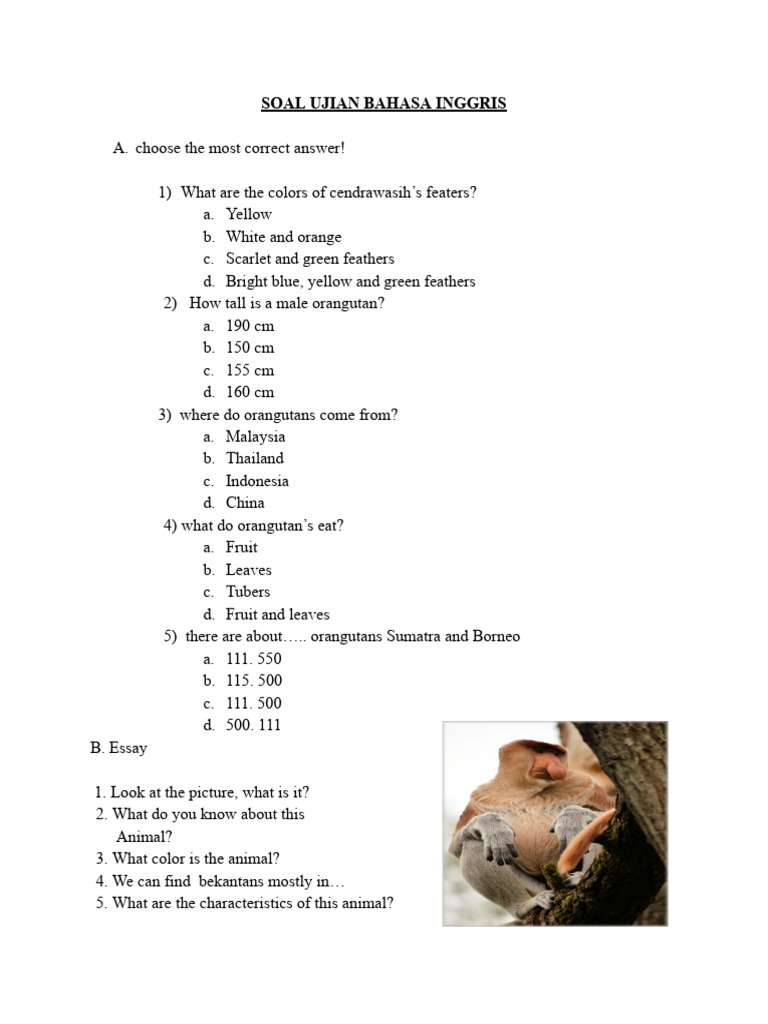 Soal Ujian Bahasa Inggris | PDF