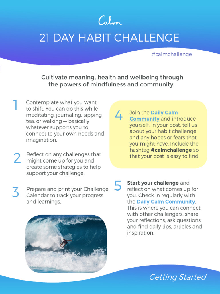 21 Day Habit Challenge Guide | PDF | Psychological Concepts | Psychology