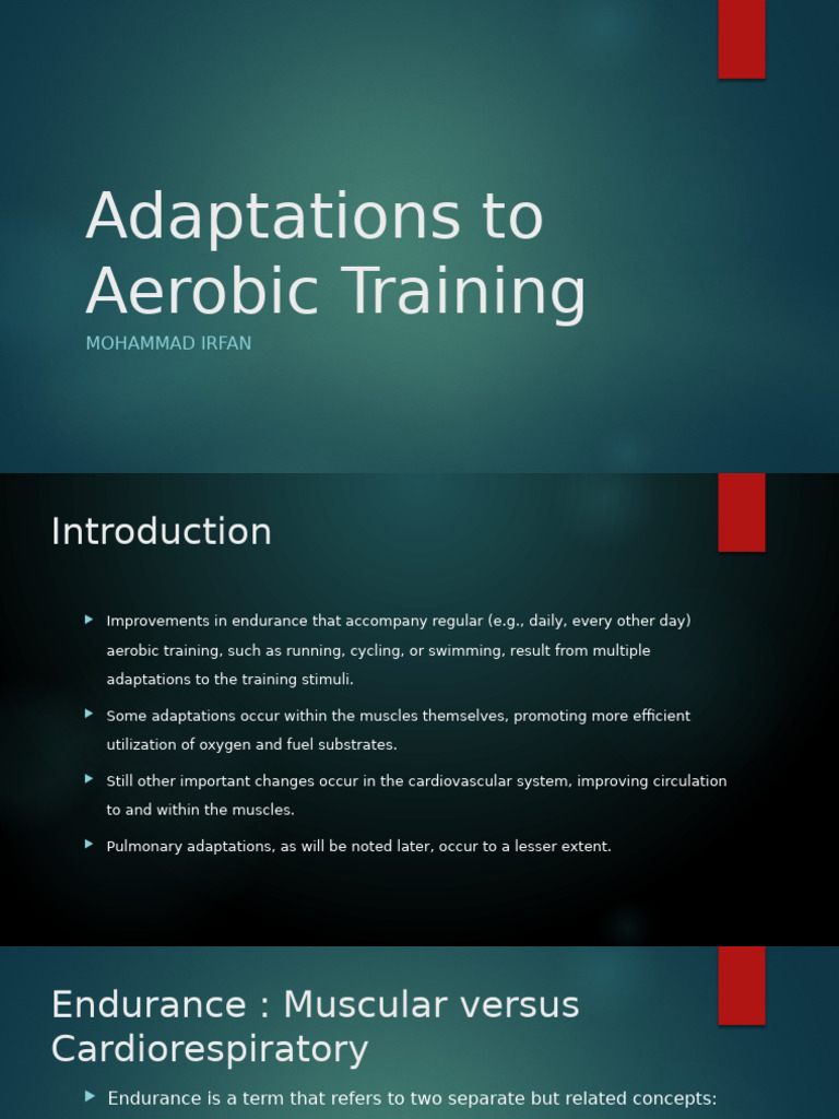 Adaptations To Aerobic Training | PDF | Ventricle (Heart) | Heart