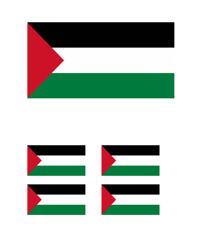 Bendera Palestina | PDF