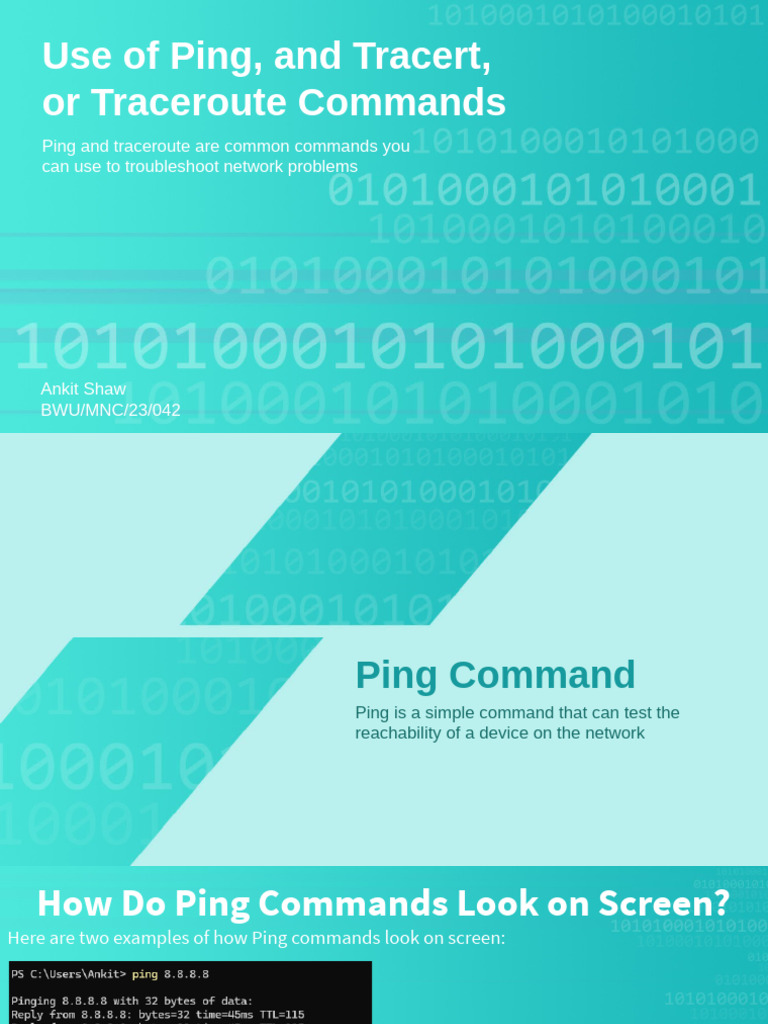 042-Ankit Shaw | PDF | Data Transmission | Computer Engineering