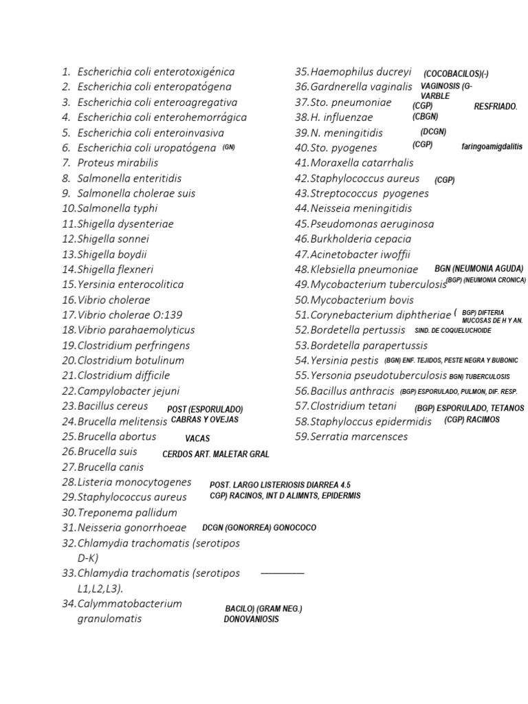 Lista de Bacteria | PDF | Escherichia coli | Bacterias Gram-negativo
