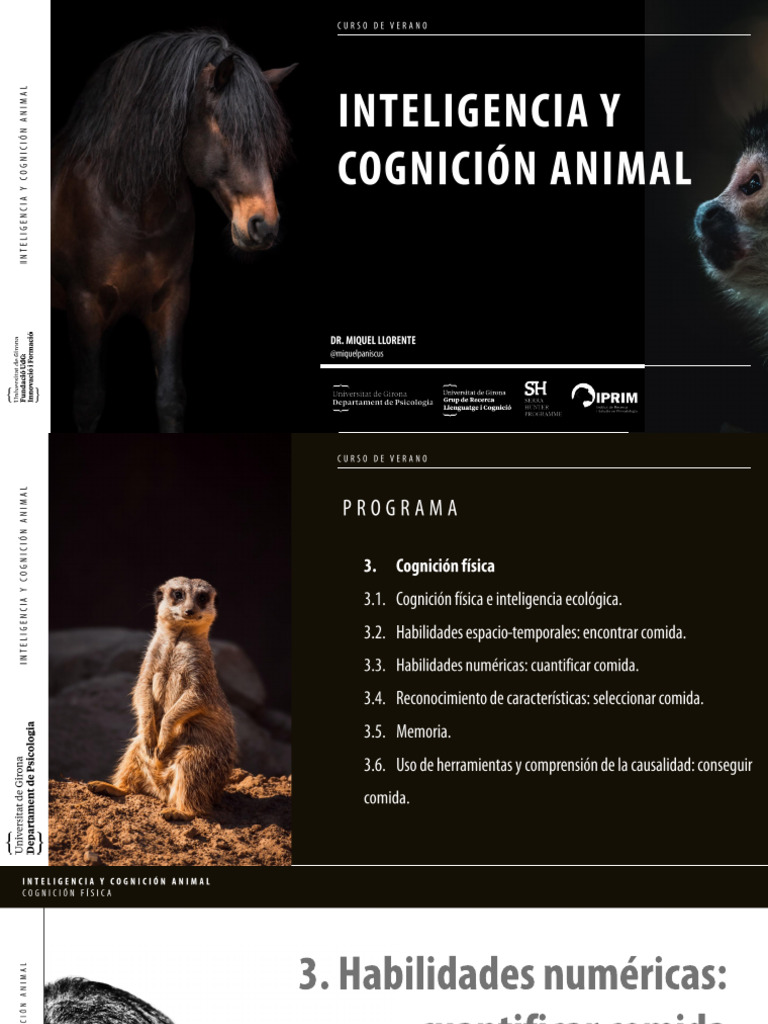 Cognición Animal: Numerosidad y Categorización | PDF | Artes del ...
