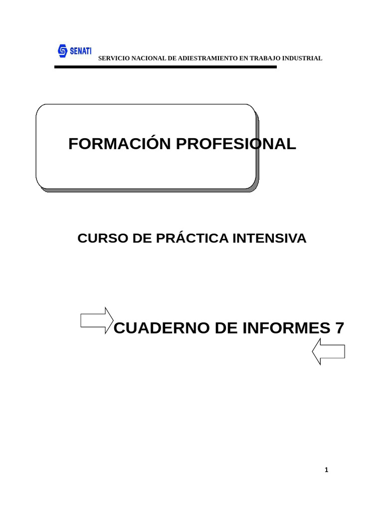 Informe 7 | PDF