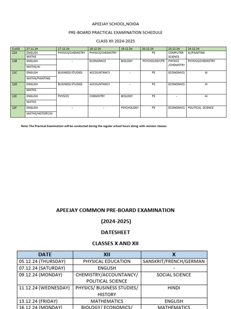 APEEJAY School Class XII Exam Schedule 2024 | PDF | Artificial Intelligence | Intelligence (AI ...