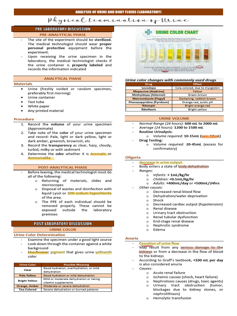 Practical-Routine-Urinalysis 241111 171658 | PDF | Urine | Urinary ...