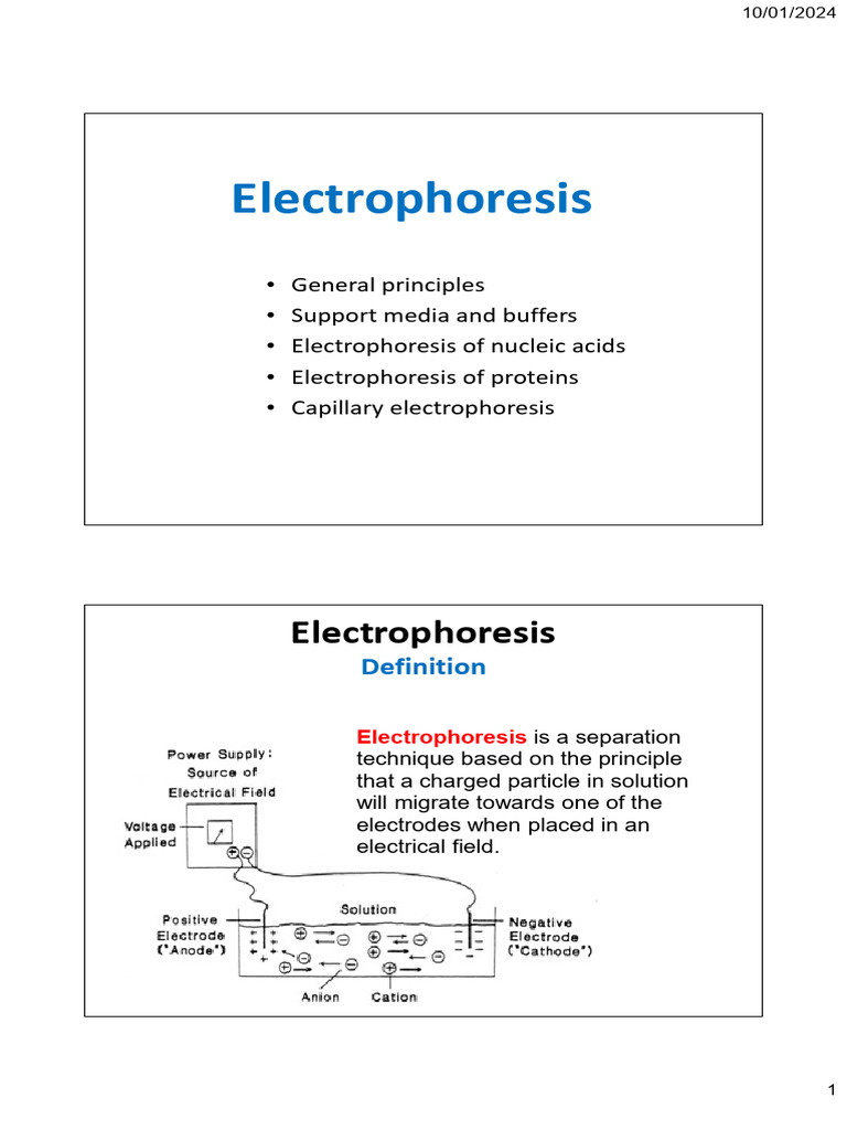 Lec1 Electrophoresis 2024 | PDF | Gel Electrophoresis | Polyacrylamide Gel Electrophoresis