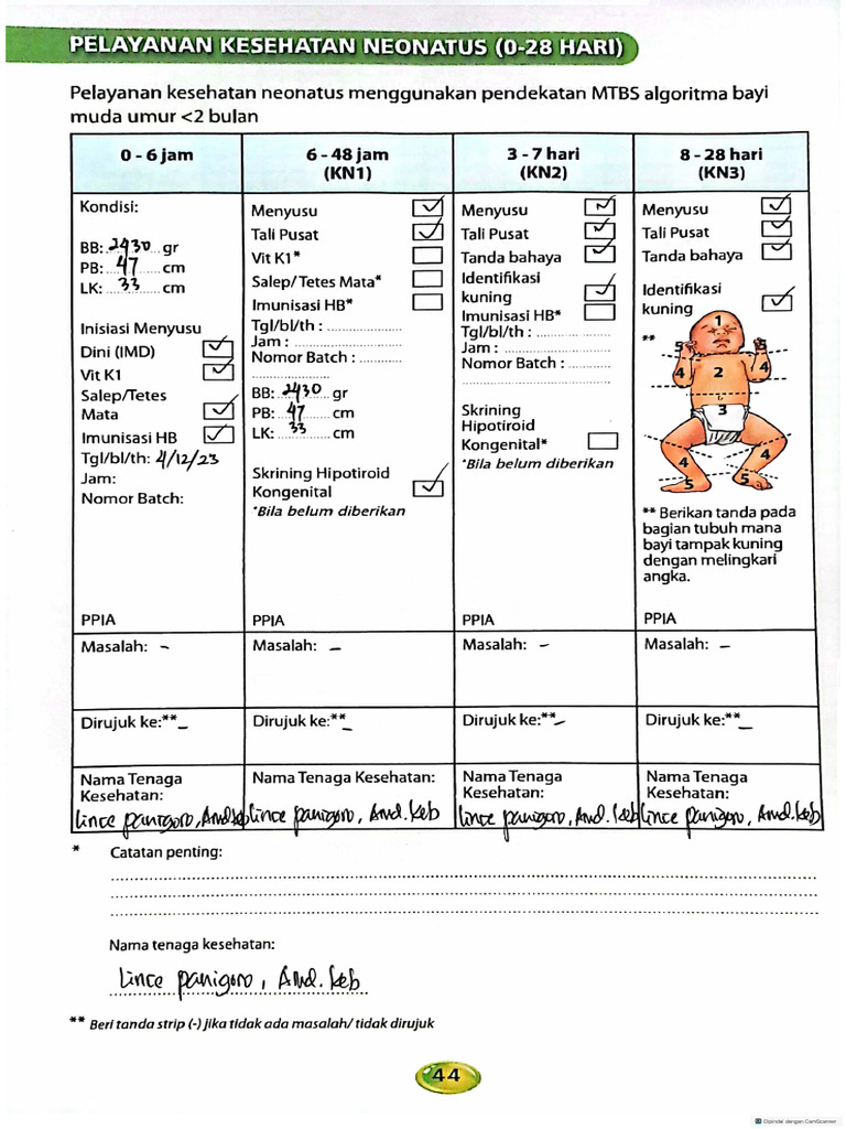 Kunjungan Neonatus. | PDF