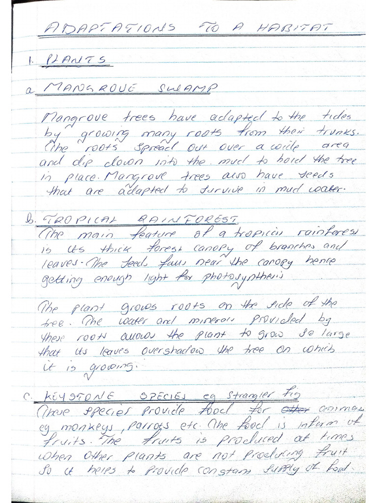 Form 3 Notes Continuation | PDF