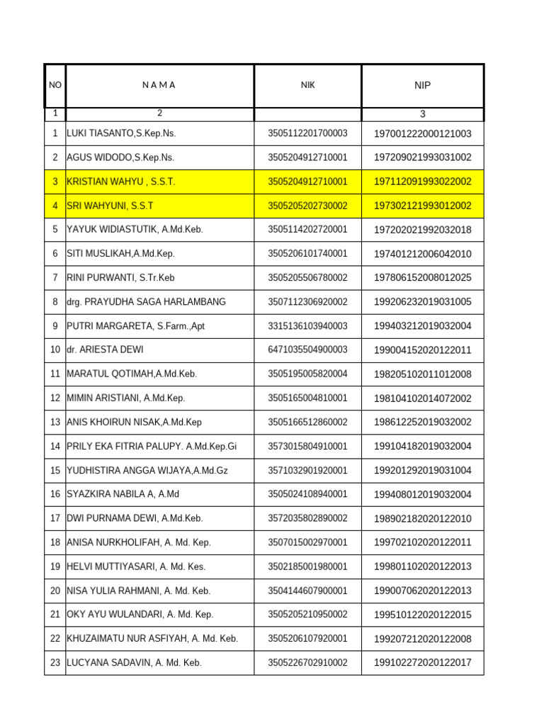 Data Pegawai 2024 | PDF