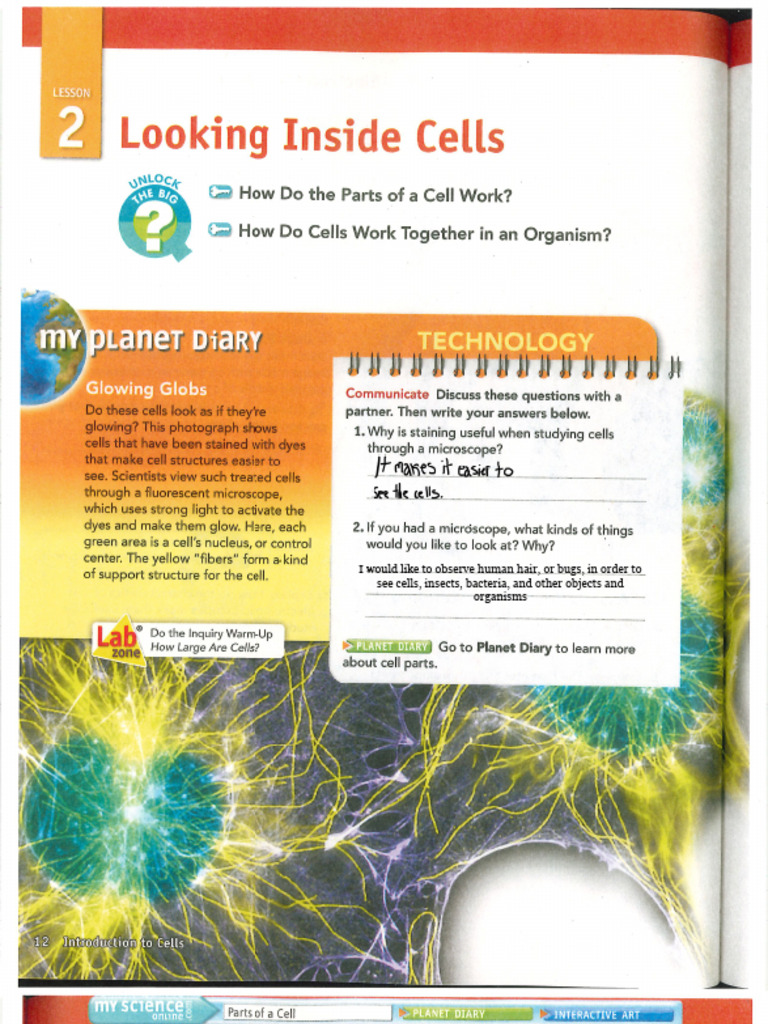 Annotated Looking+Inside+Cells+pgs.+12 21 | PDF | Cell (Biology ...