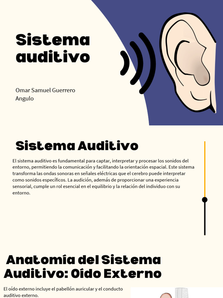 Sistema Auditivo | PDF | Oído | Sistema Auditorio