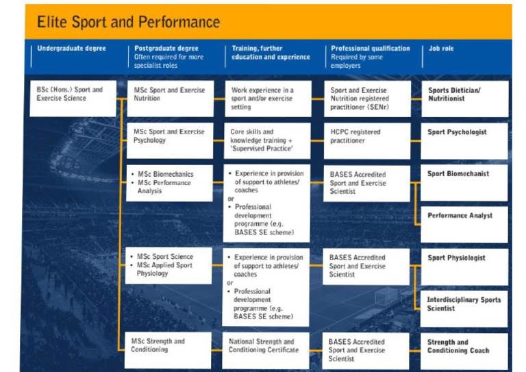 Sports Career | PDF