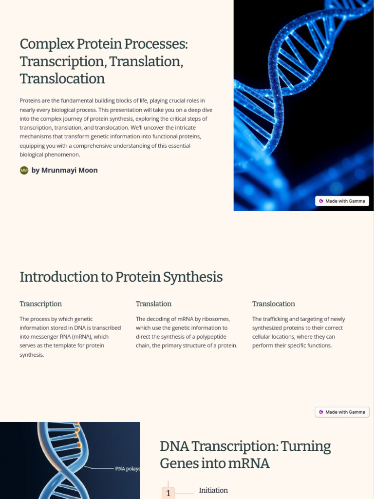Complex Protein Processes Transcription Translation Translocation | PDF | Translation (Biology ...