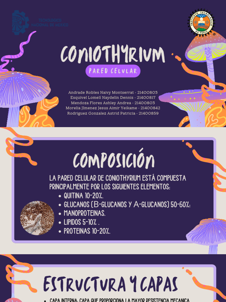 3 Proyecto de Investigación Coniothyrium 3.3 Mendoza F | PDF | Espora ...