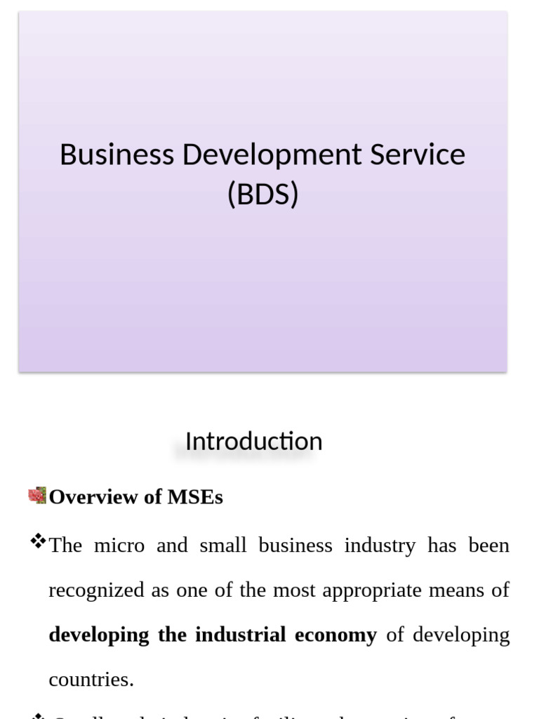 Business Development Service (BDS) | PDF | Marketing | Balance Sheet