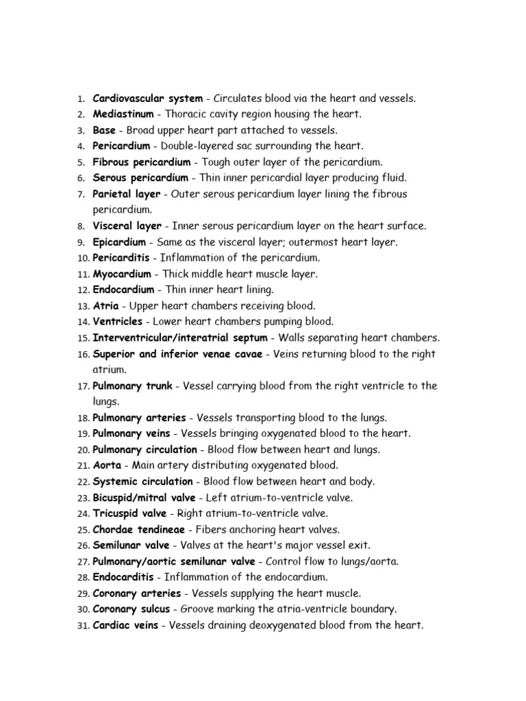 CH 11 Cardiovascular System. Vocabulary | PDF | Heart | Heart Valve