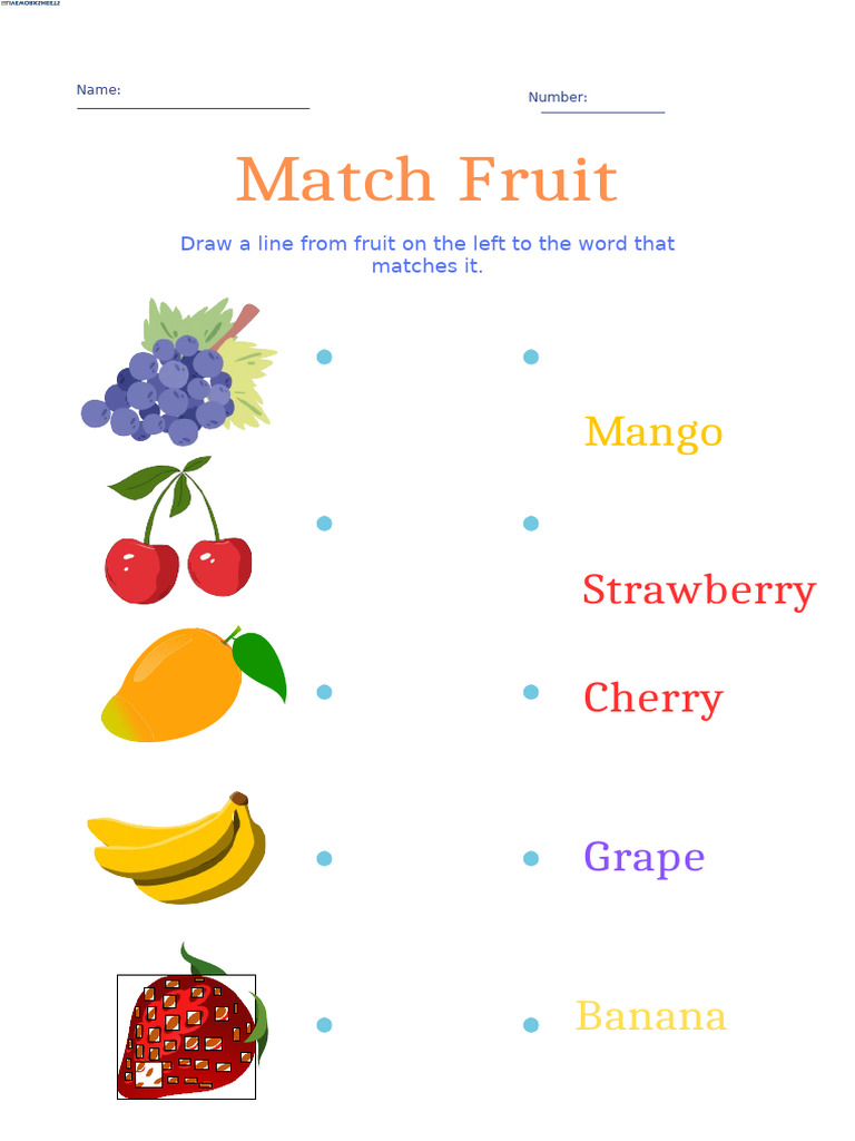 631001249-fruit-match | PDF