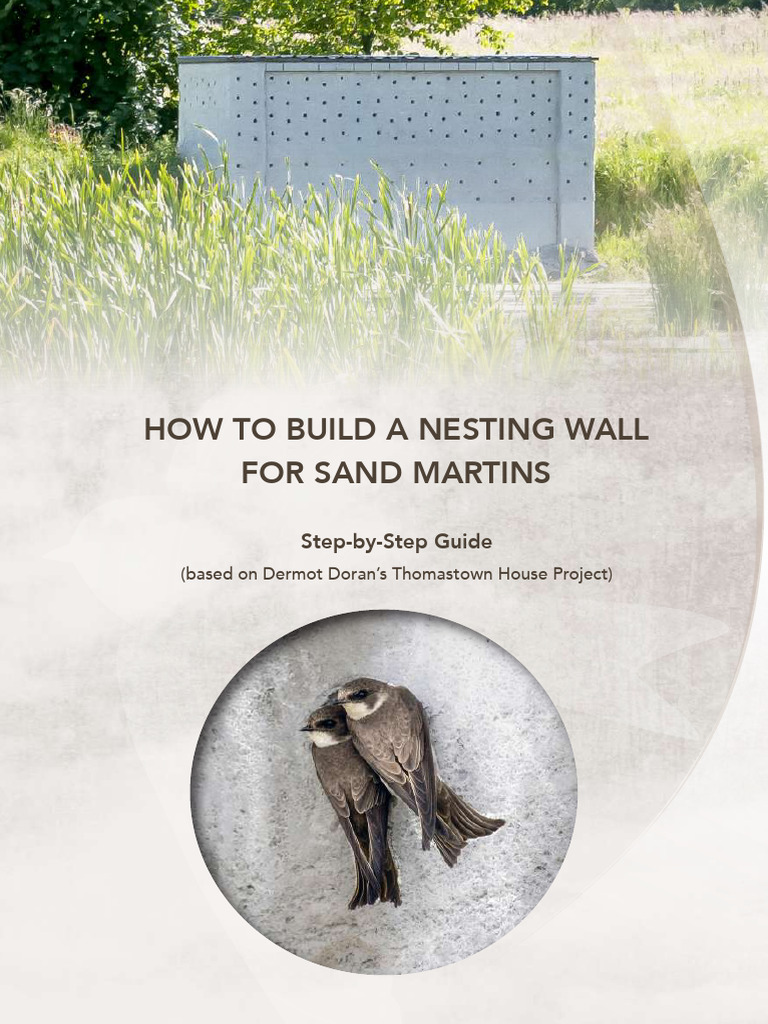 How To Build A Nesting Wall For Sand Martins: Step-by-Step Guide | PDF ...