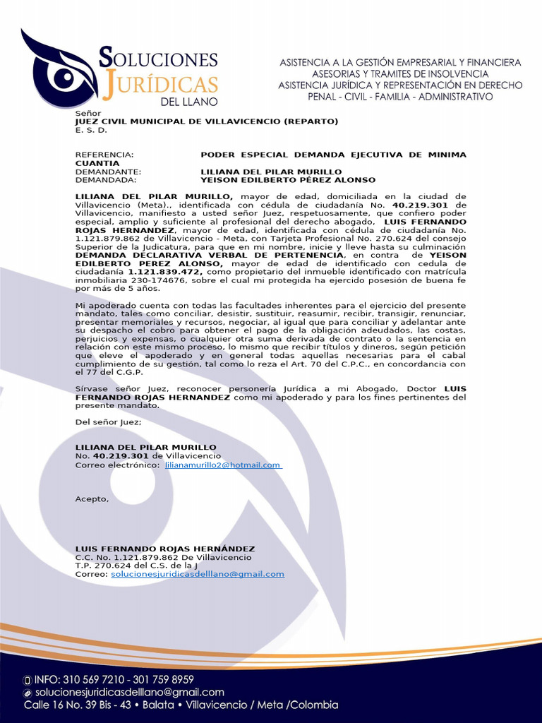 Poder Especial para Demanda Ejecutiva | PDF