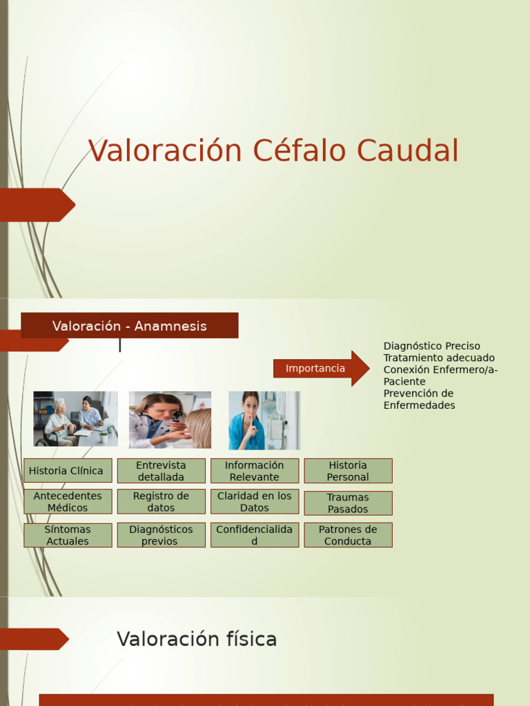 Guía de Valoración Física en Enfermería | PDF | Examen físico | Enfermedades y trastornos