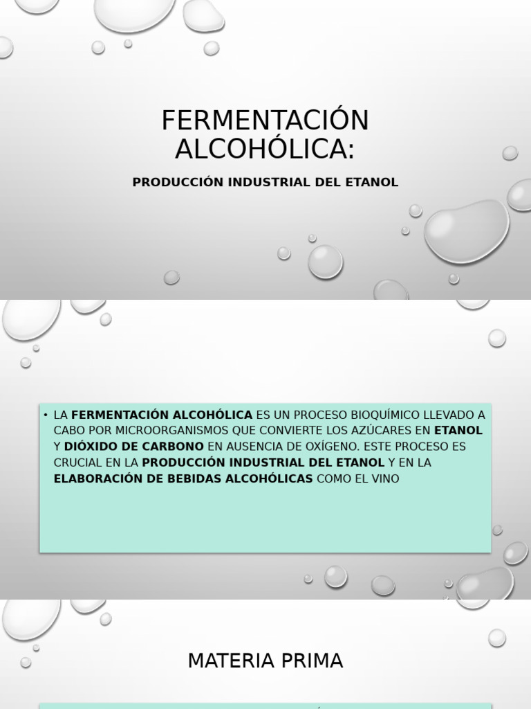 Producción Industrial de Etanol | PDF | Cocina, comidas y vino | Tecnología
