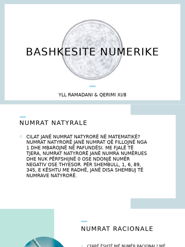 Bashkesite Numerike | PDF