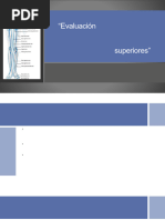 Metodo RaPeVA GAVeCeLT | PDF | Sistema cardiovascular | Sistema ...