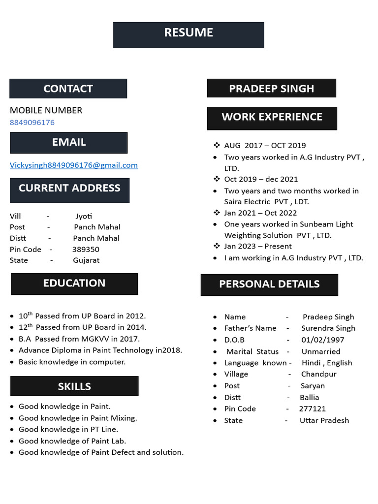 Pradeep Singh Resume 13 | PDF