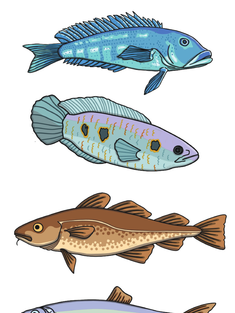 Color Fish Cutouts | PDF