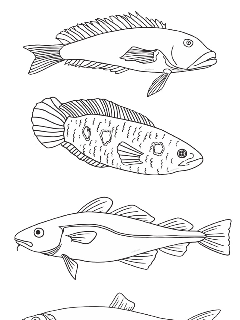 BW Fish Cutouts | PDF