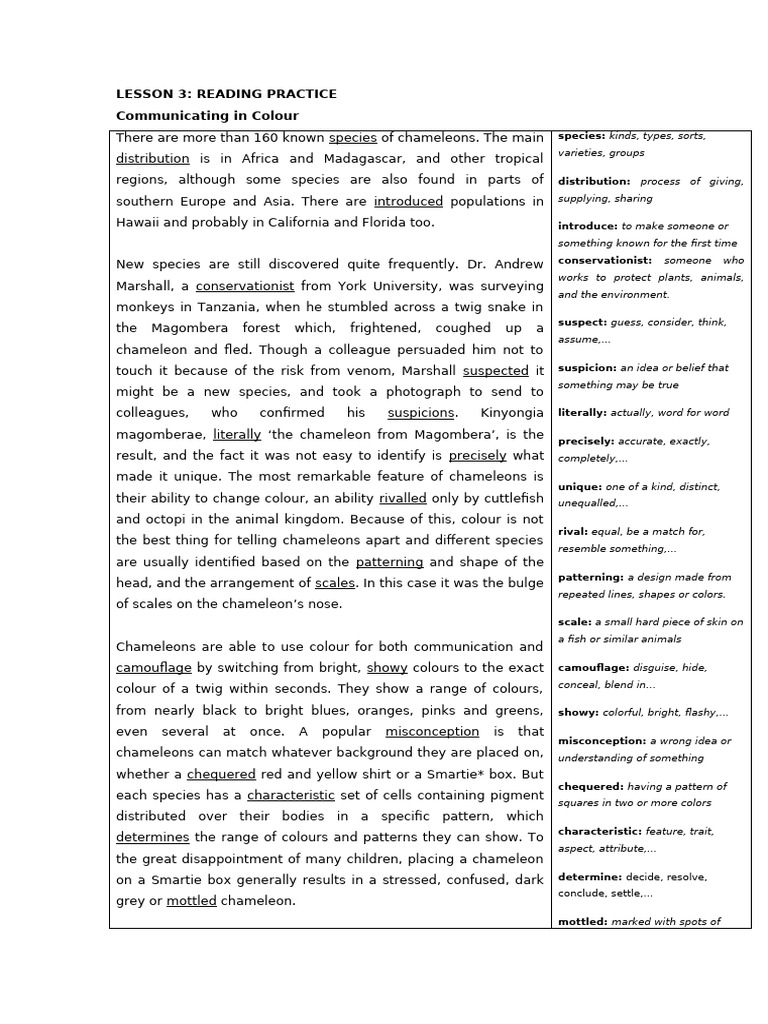 HSG LESSON 3.docx READING PRACTICE | PDF | Camouflage | Color
