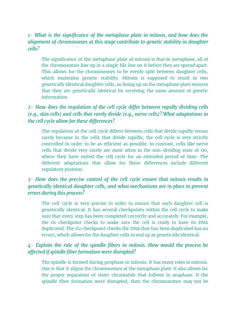 11 - 8 Deep Thinking Questions | PDF | Mitosis | Cell Cycle