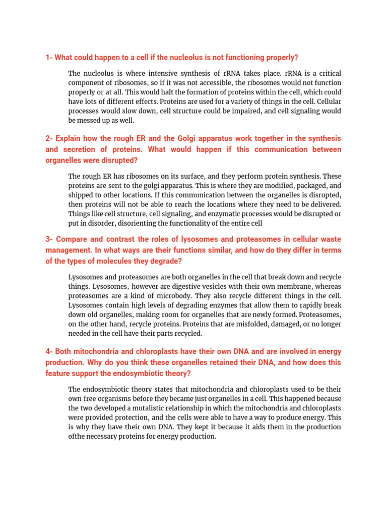9 - 30 - Deep Thinking Questions | PDF | Cell (Biology) | Lysosome