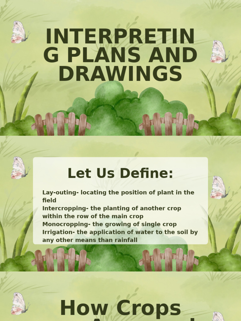 Interpreting Plans and Drawings | PDF | Plants | Crops