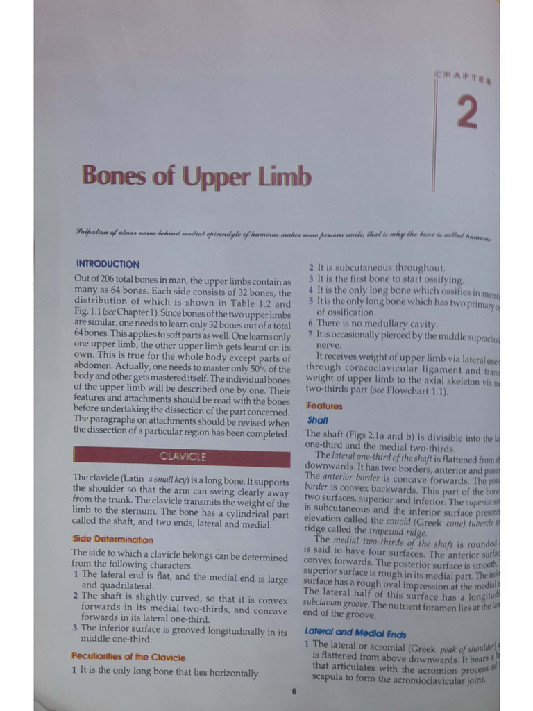 Bones of Upper Limb (BD Churasia) | PDF