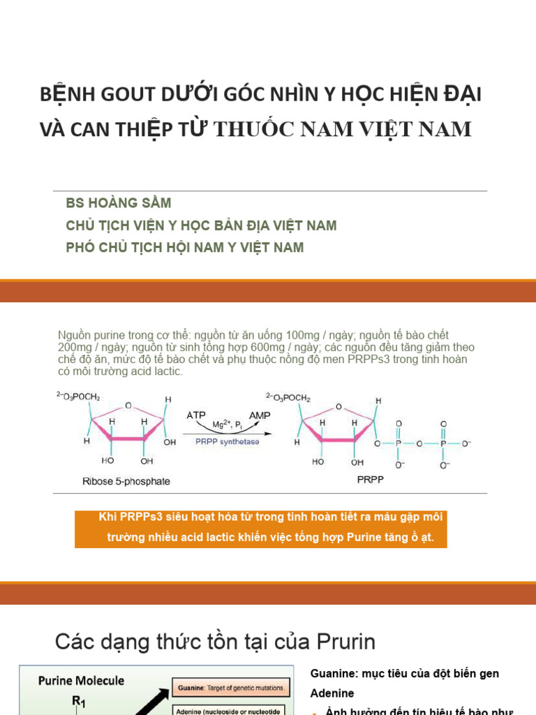 Thuoc Nam Voi Benh Gout | PDF